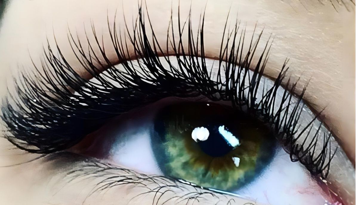 The Ultimate Guide For The Cat Eyelash Extensions