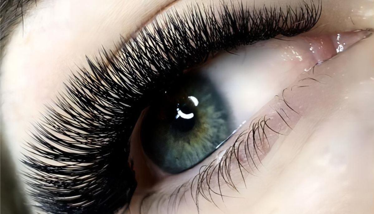 The Ultimate Guide For The Cat Eyelash Extensions