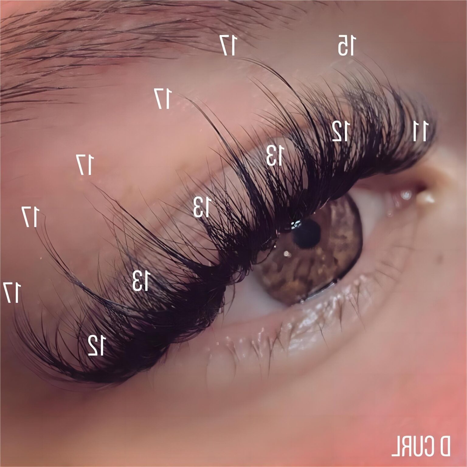 Ultimate Guide To Wispy Eyelash Extensions