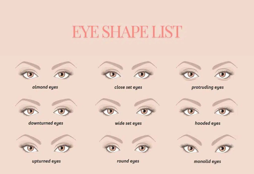 Asian Eyes With Eyelash Extensions